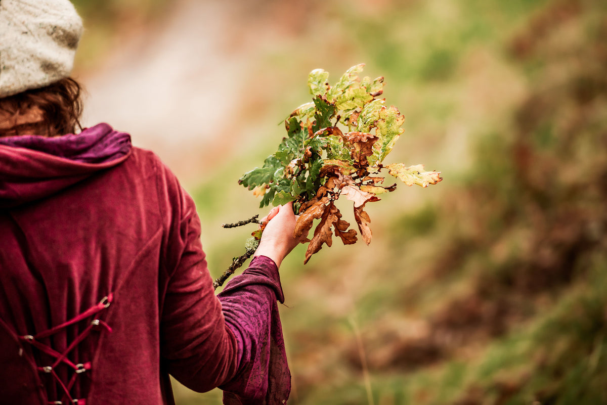 Sacred Plants and Trees of Grief and Death Webinar